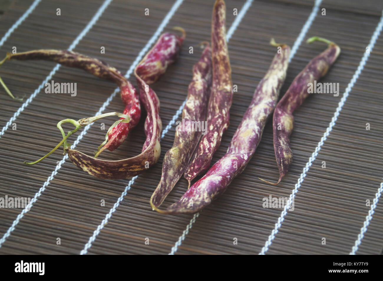 Pinto bean pod hi-res stock photography and images - Alamy