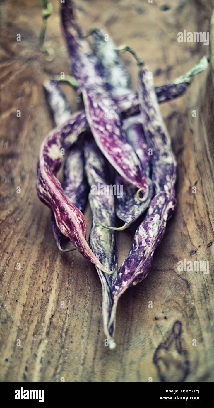 Variegated bean hi-res stock photography and images - Alamy