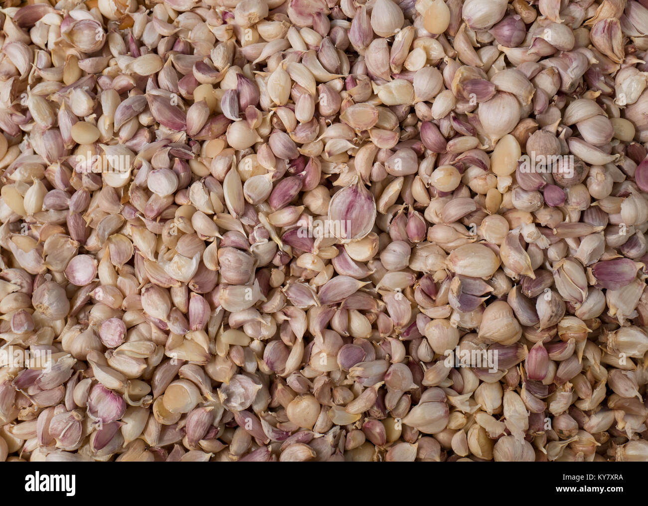 dry garlic in market for cooking, nature food Stock Photo - Alamy