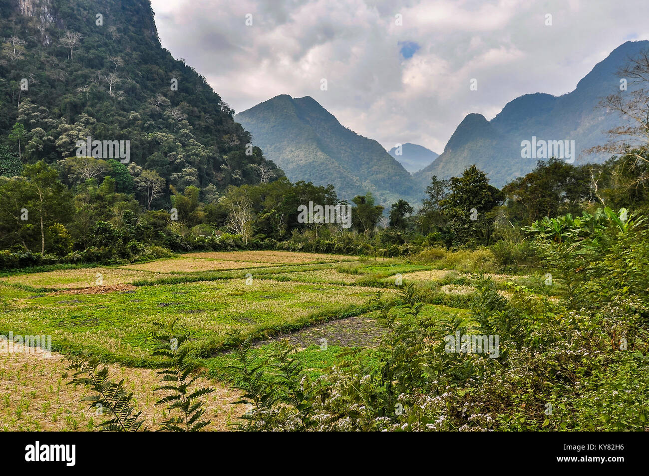 Rural landscape in the remote village of Muang Ngoi in Northern Laos ...