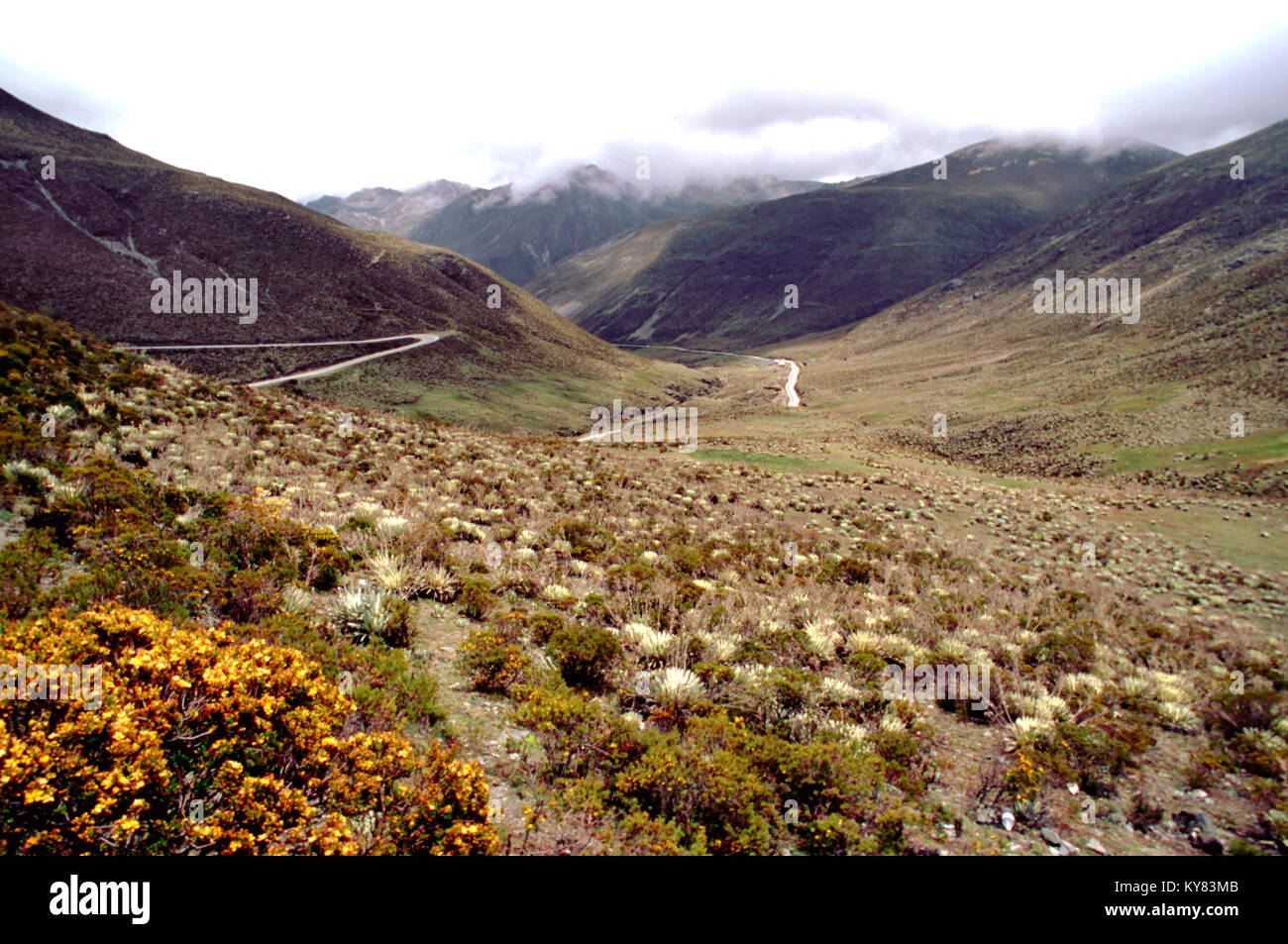 Mountain landscape in Pico El Aguila Merida Venezuela Stock Photo - Alamy