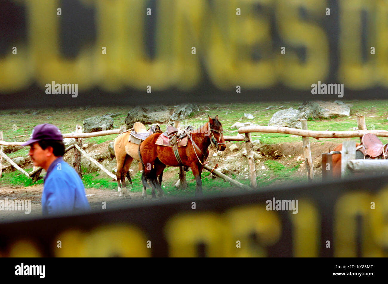 Horse ride in Laguna Mucubaji near Apartaderos in Merida Venezuela ...