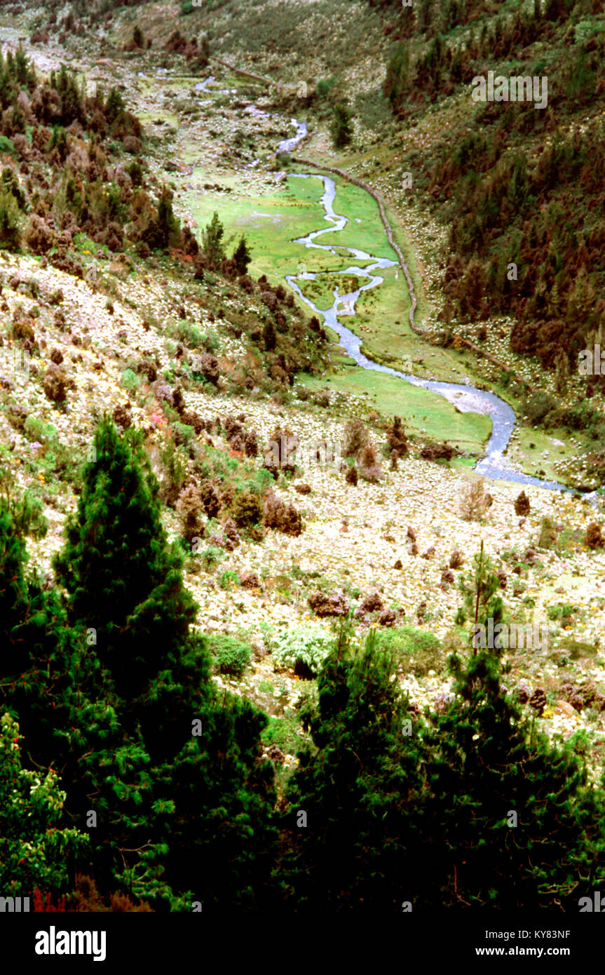 Mountain landscape between Laguna negra and Laguna Mucubaji near ...