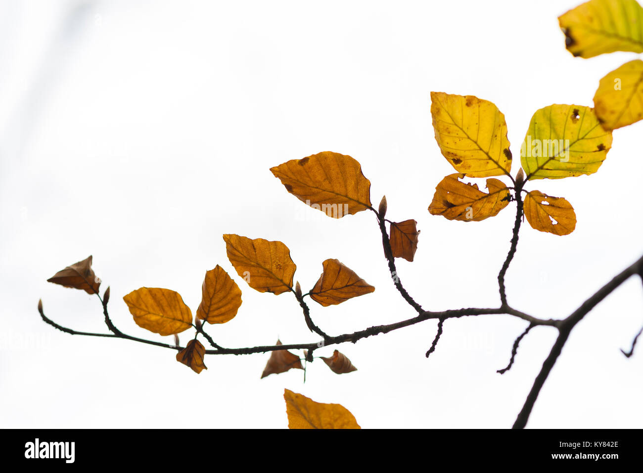 Changing light display hi-res stock photography and images - Alamy