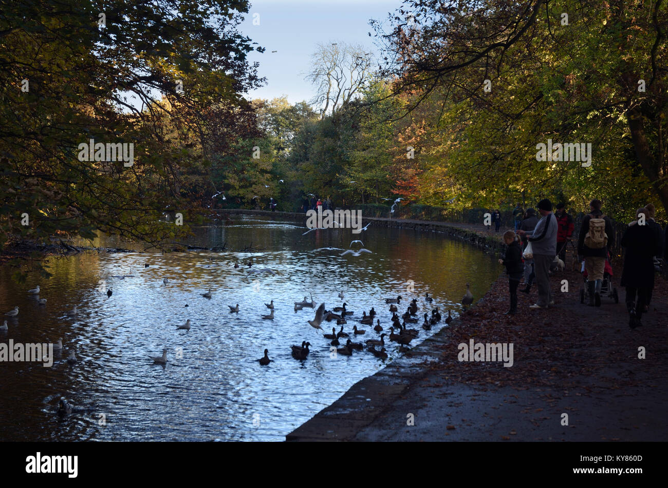 Ecclesall hi-res stock photography and images - Alamy