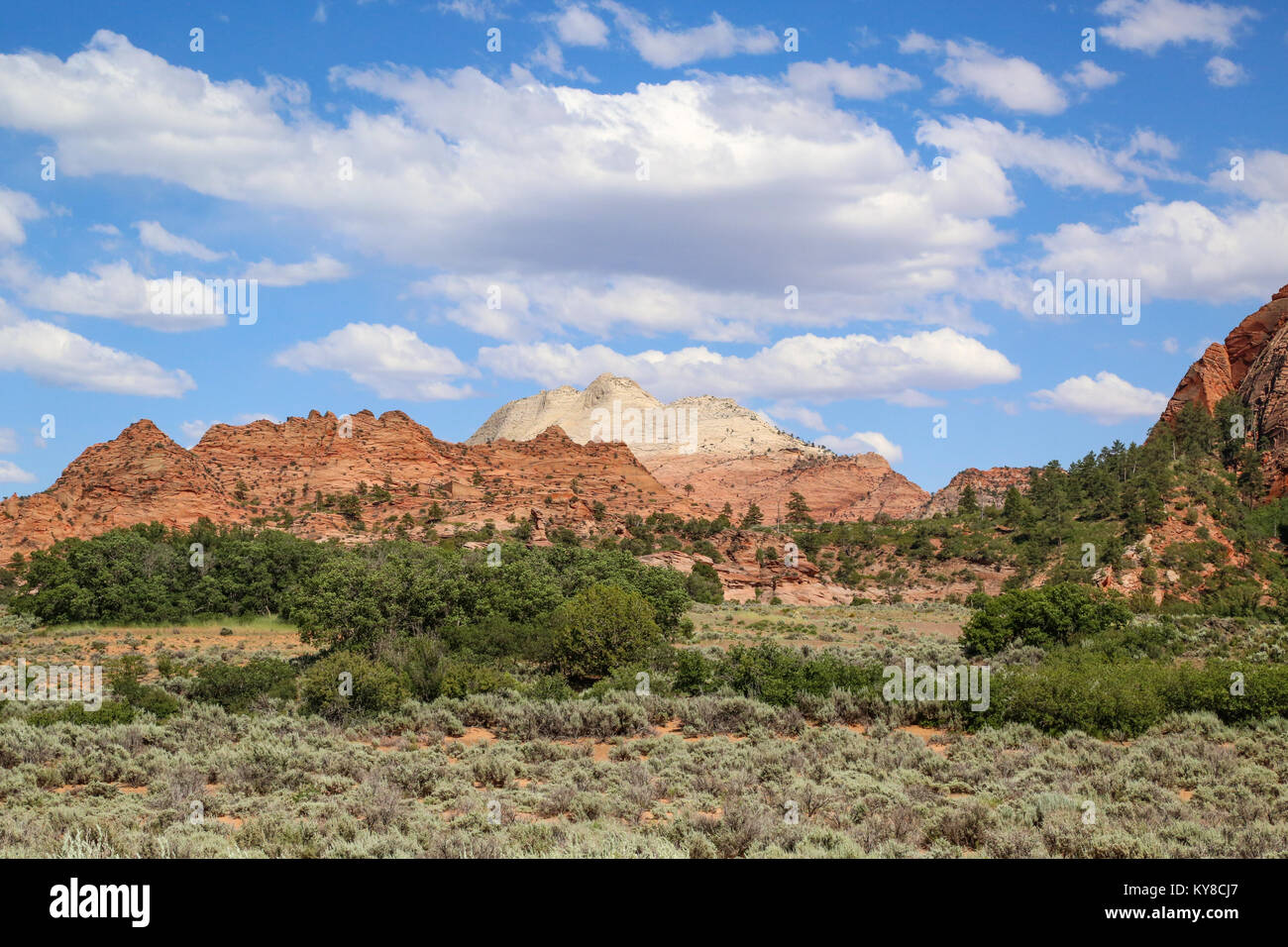A scene from the Kolob Terrace Road on the west side of Zion National ...