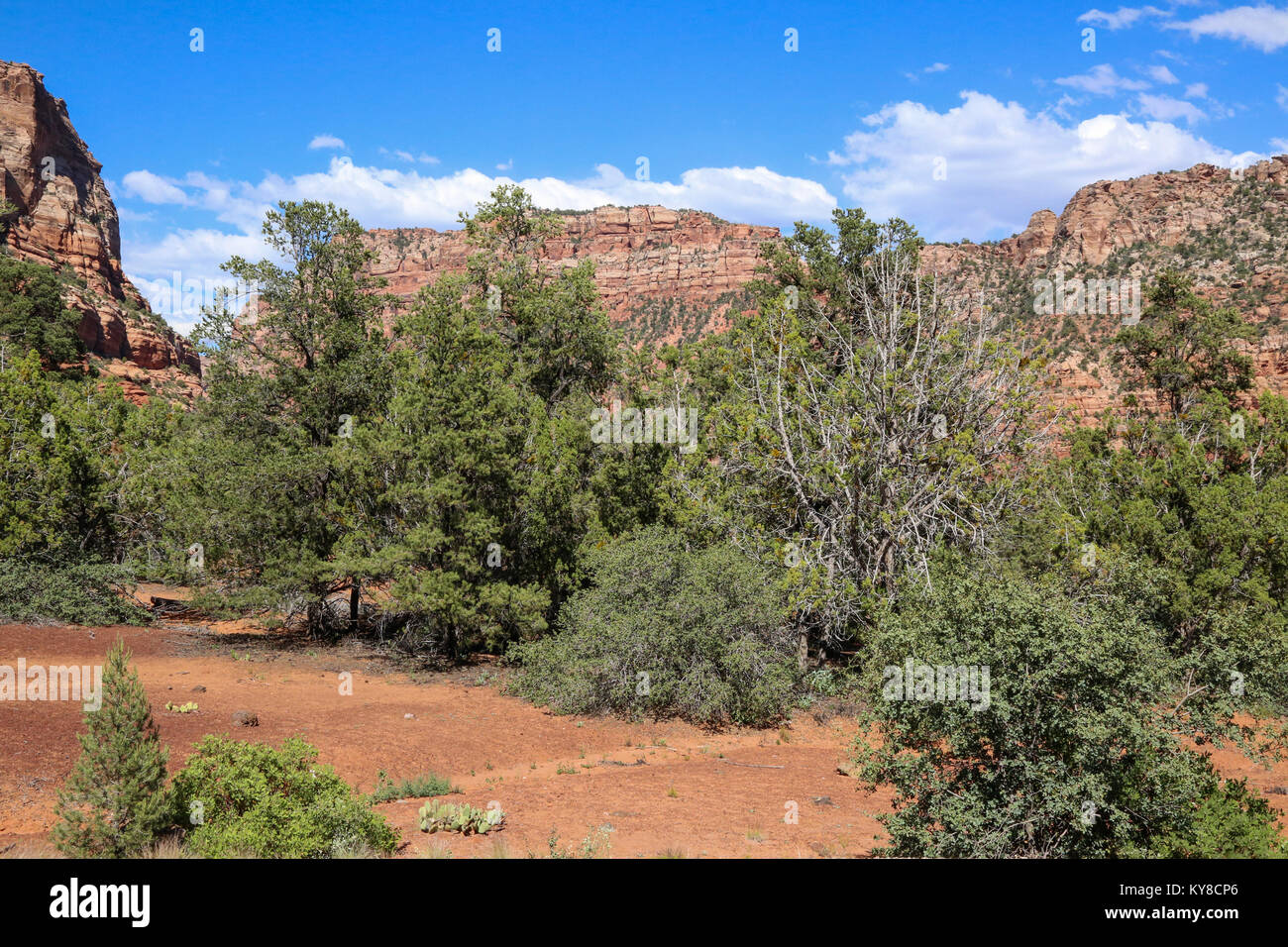 A scene from the Kolob Terrace Road on the west side of Zion National ...
