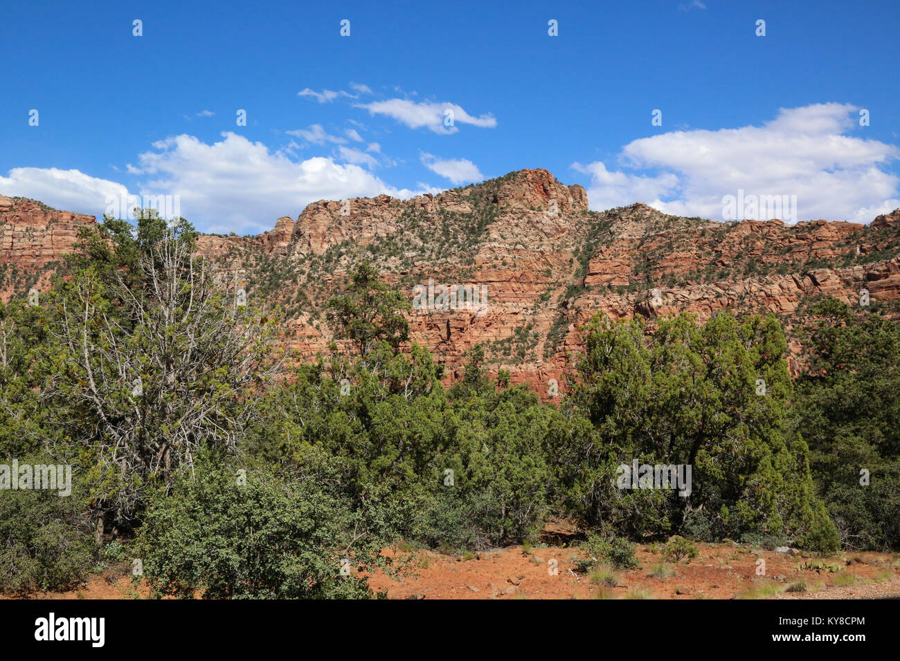 A scene from the Kolob Terrace Road on the west side of Zion National ...