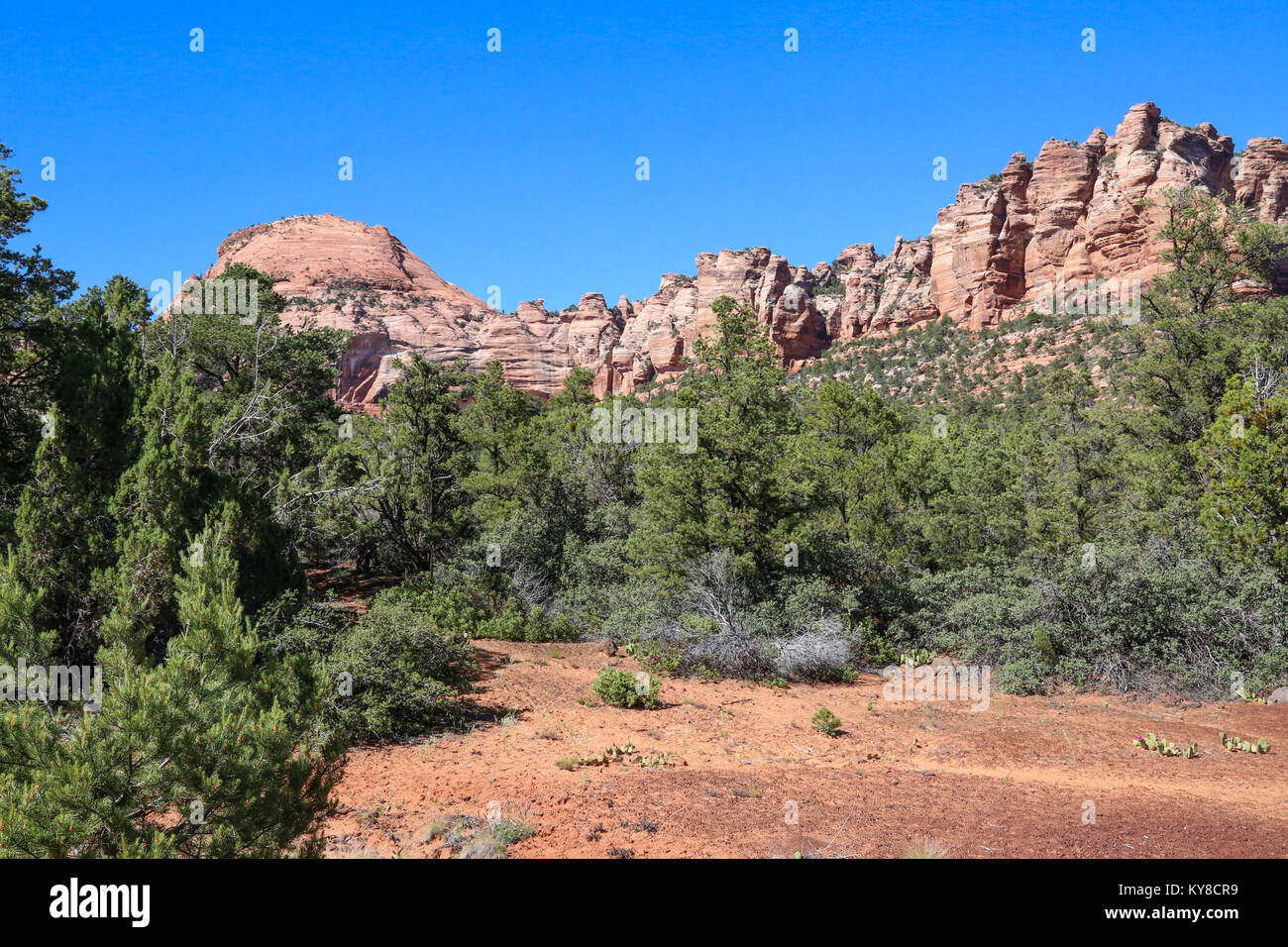 A scene from the Kolob Terrace Road on the west side of Zion National ...