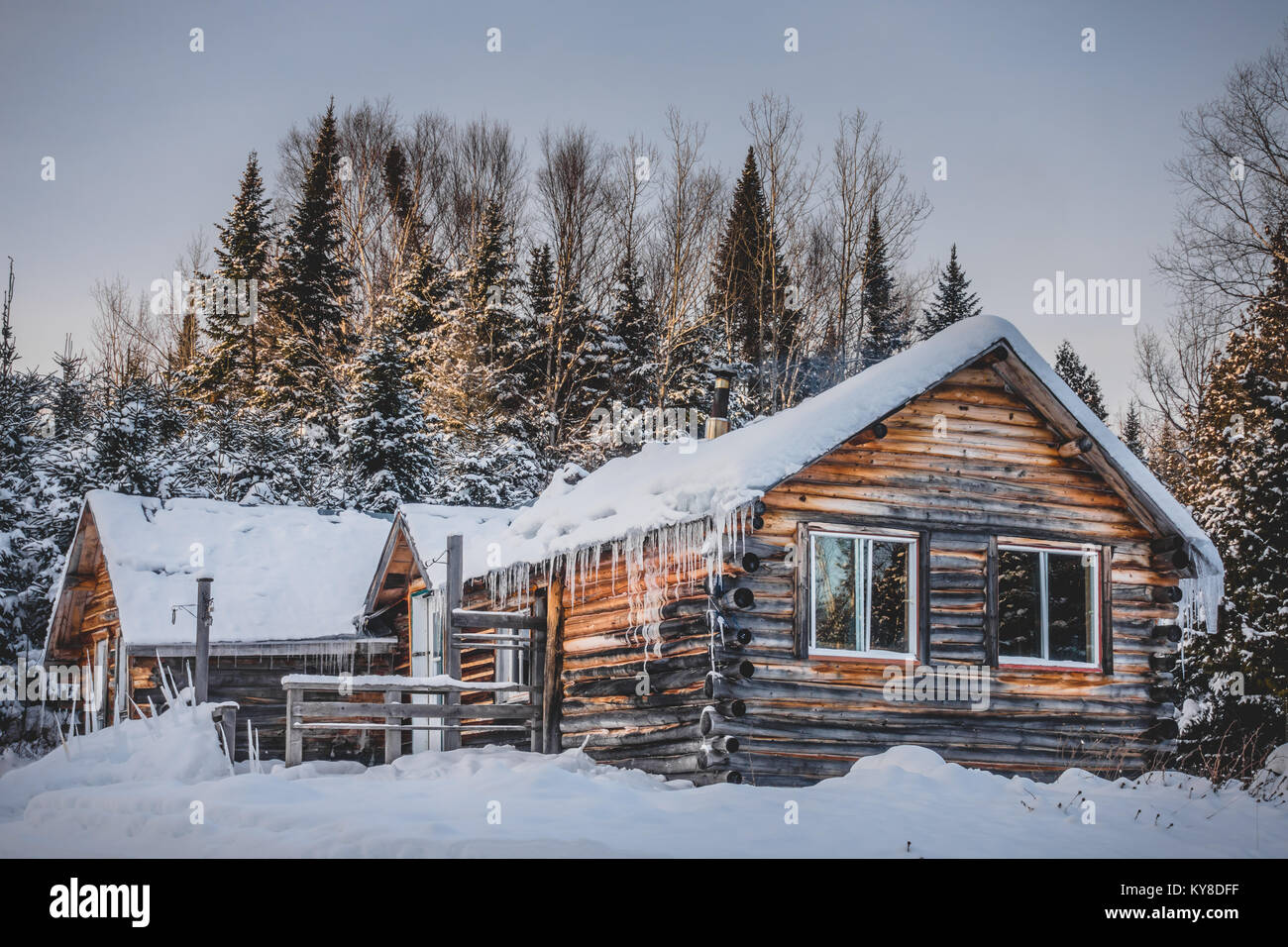 Canadian Round Log Wood Shack during Beautiful Winter Sunset Stock ...