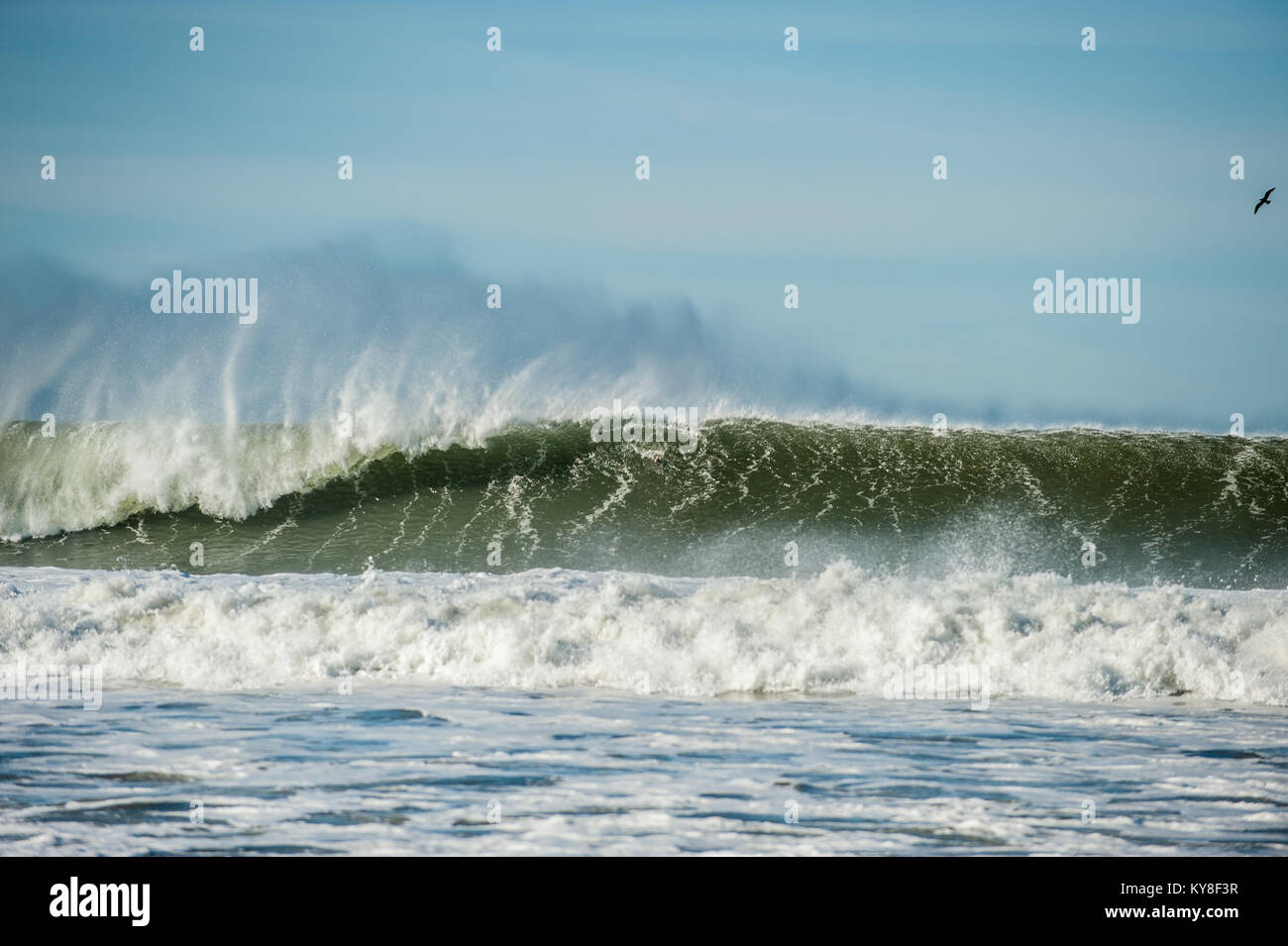 Offshore wind blows tops of large right hand wave with Channel Island ...
