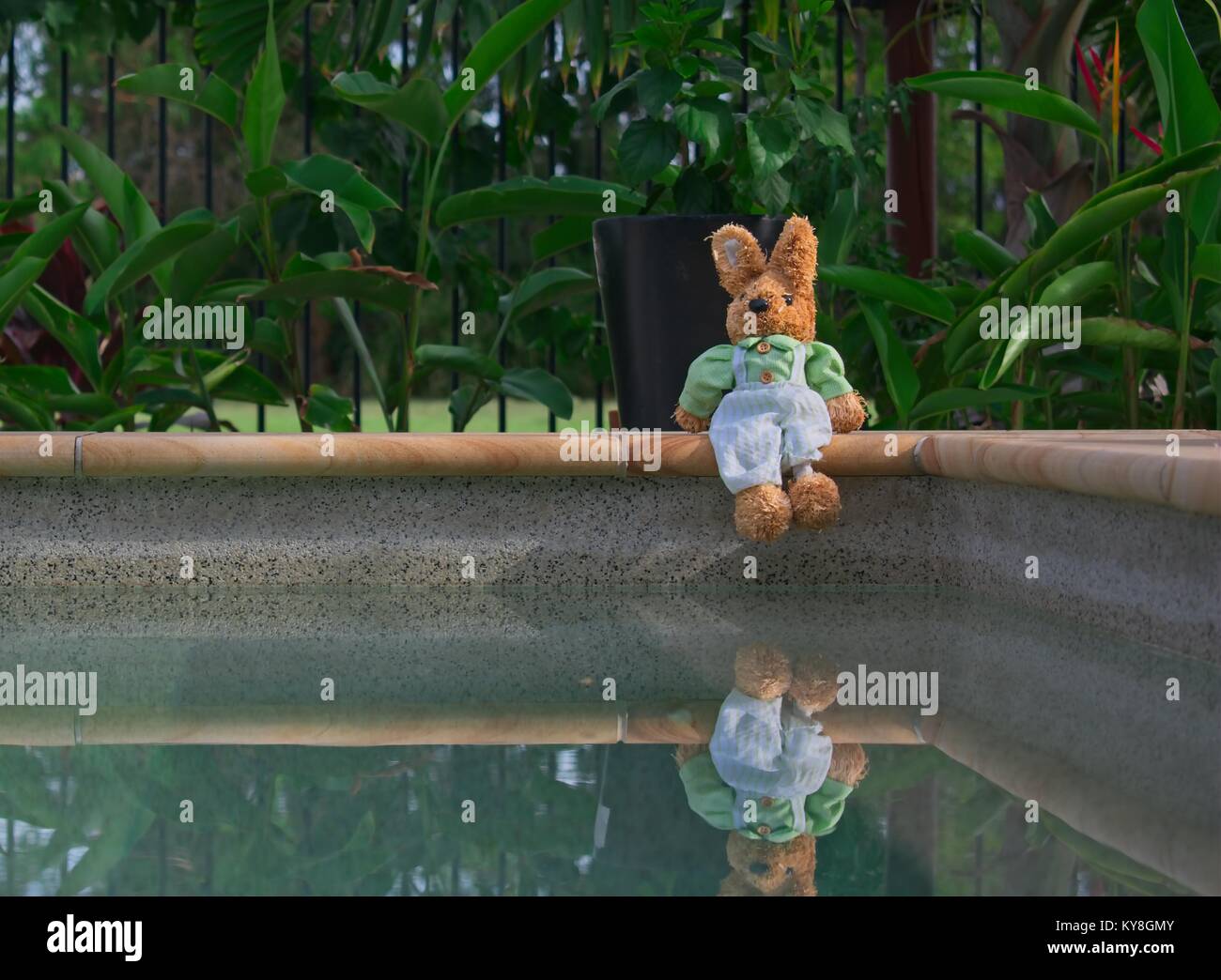 Pool toy hi-res stock photography and images - Alamy
