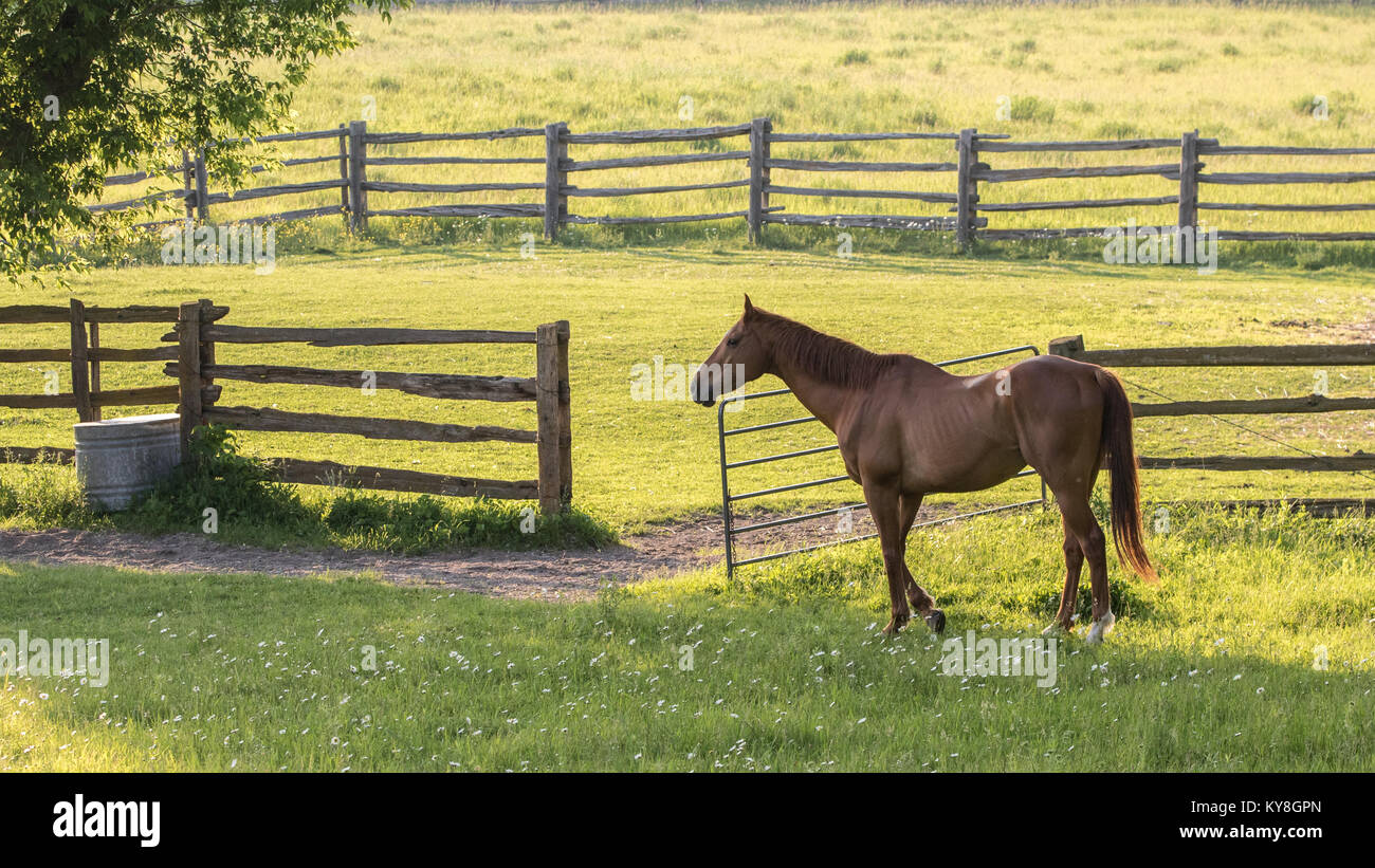 enjoying a beautiful summer afternoon Stock Photo - Alamy