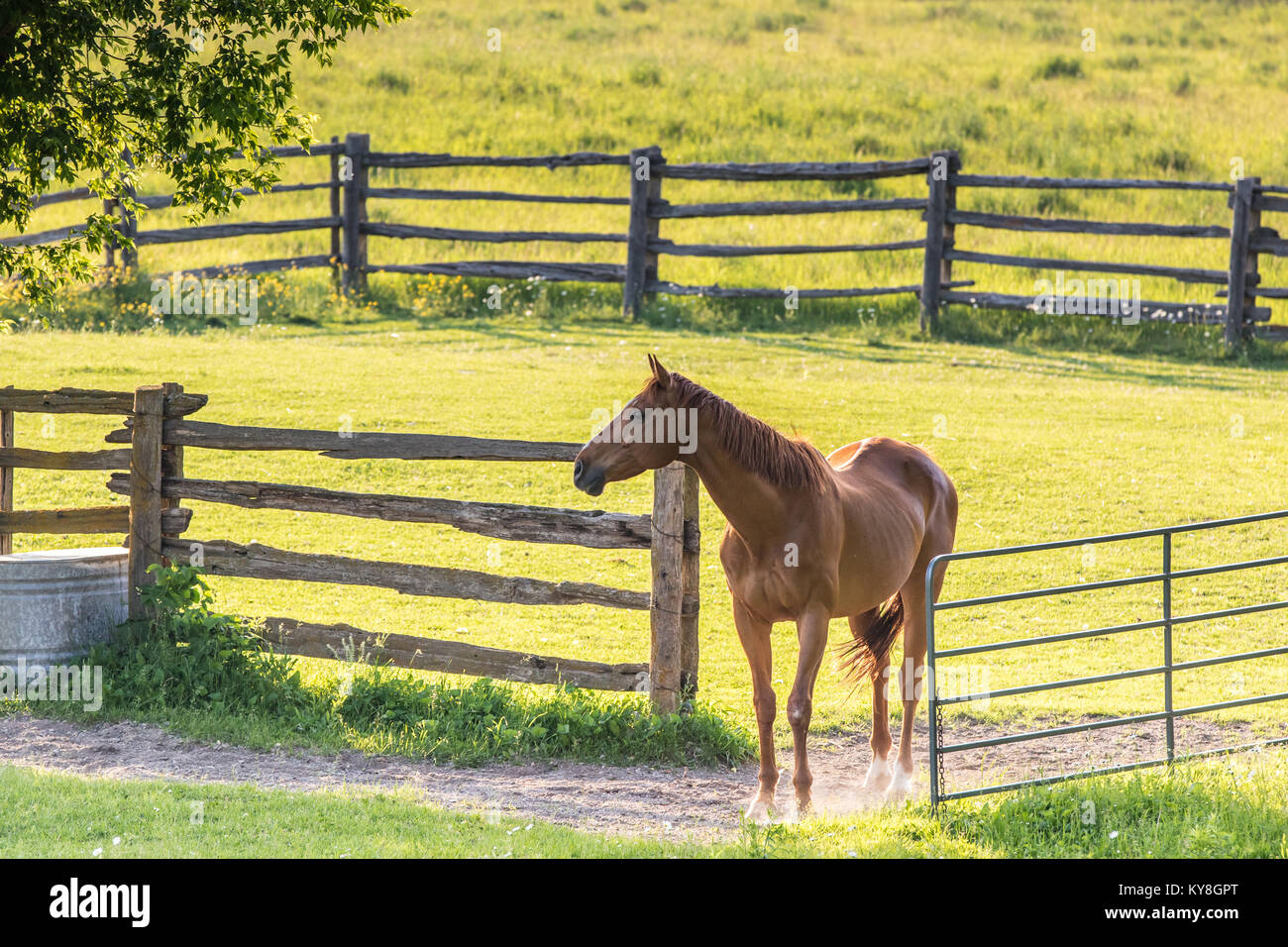 enjoying a beautiful summer afternoon Stock Photo - Alamy