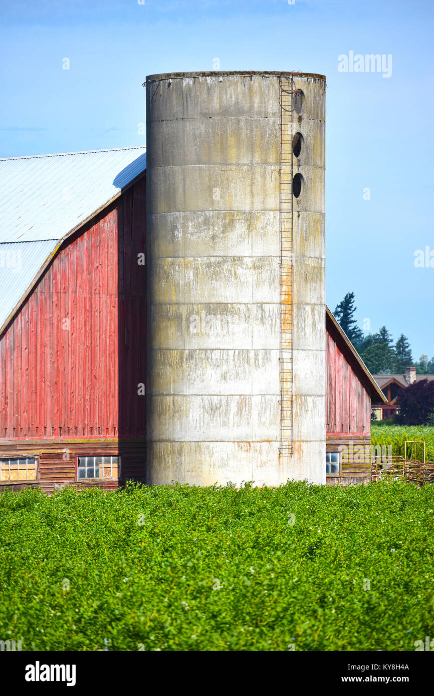 Barn with silo in front of it and crop growing in the field. A tiny ...