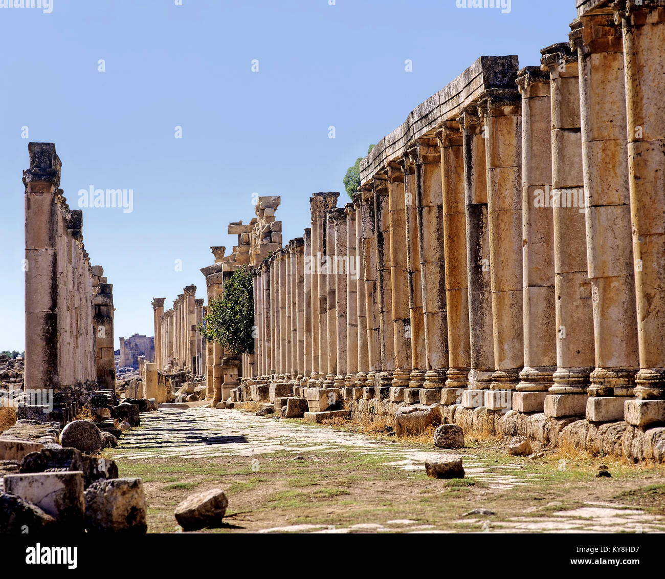 2190 hi-res stock photography and images - Alamy