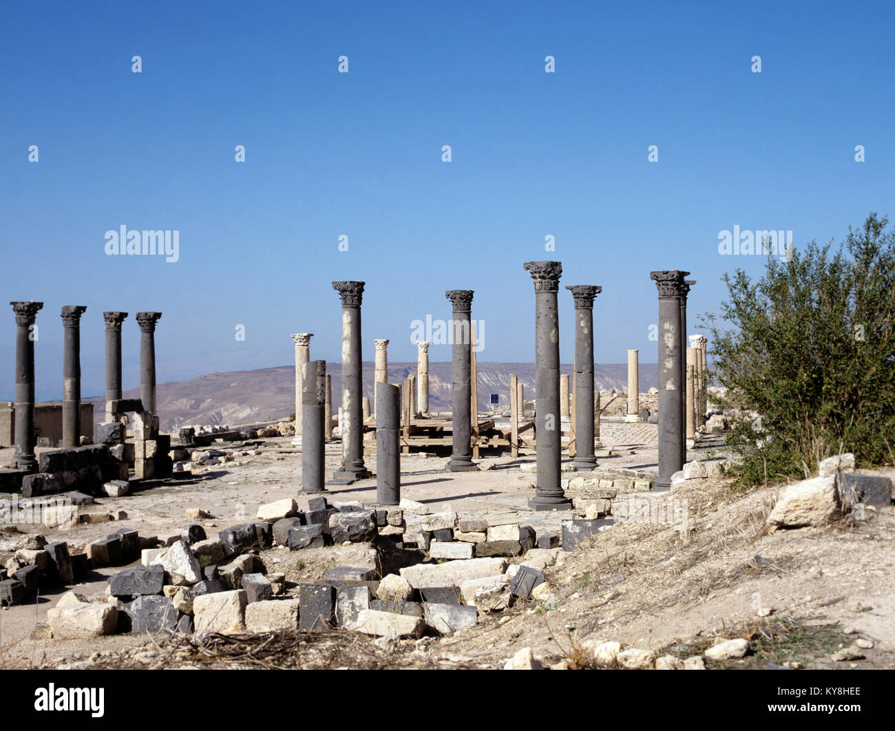 Gadarene hi-res stock photography and images - Alamy