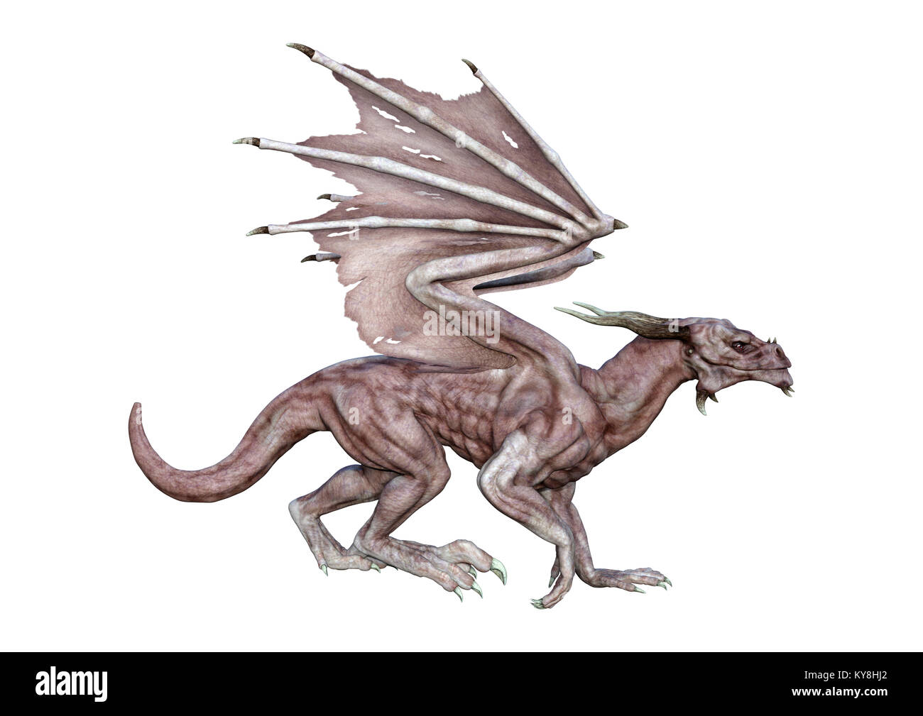 3D rendering of a fantasy vampire dragon isolated on white background ...