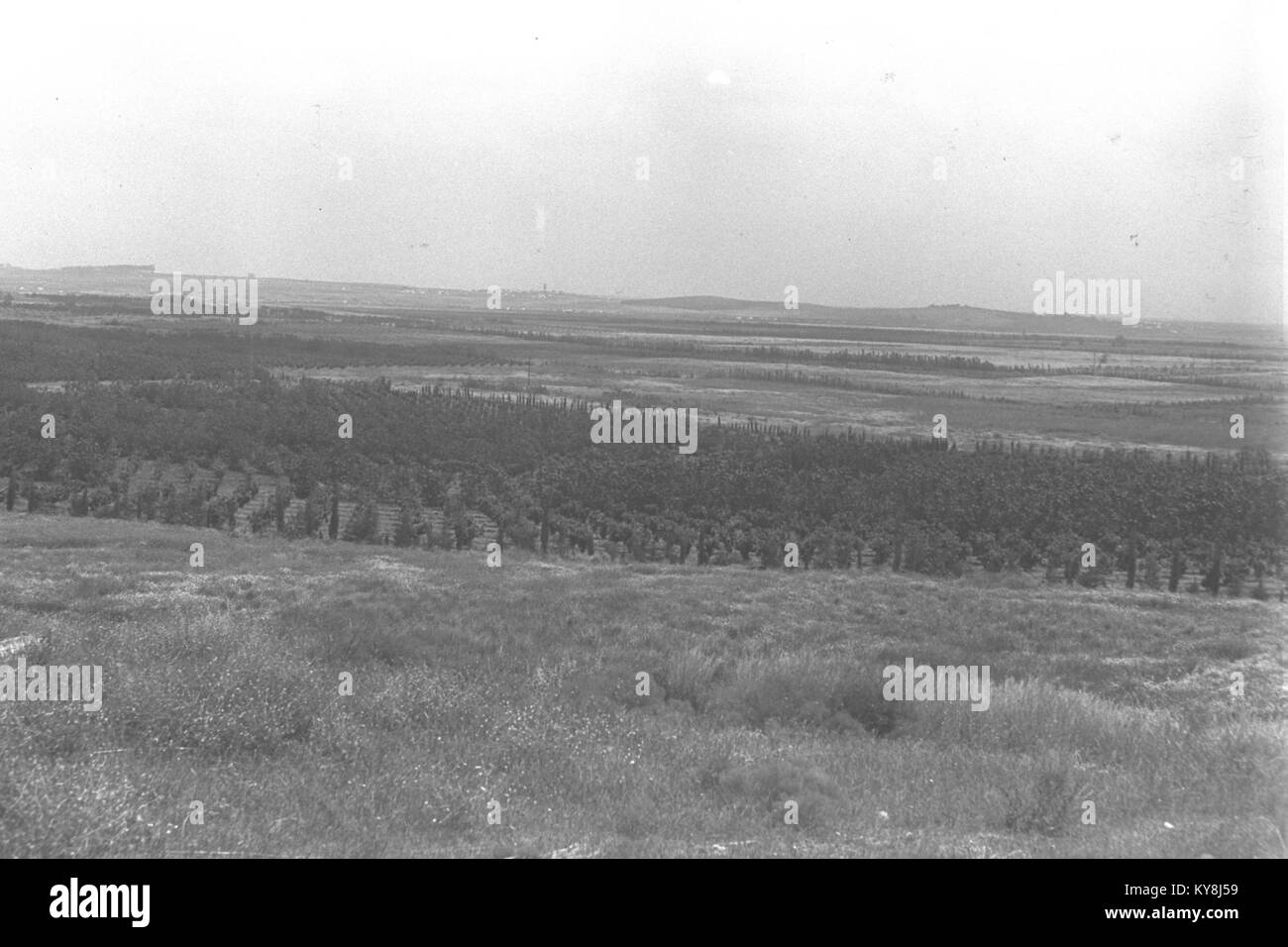 Emek hefer hi-res stock photography and images - Alamy