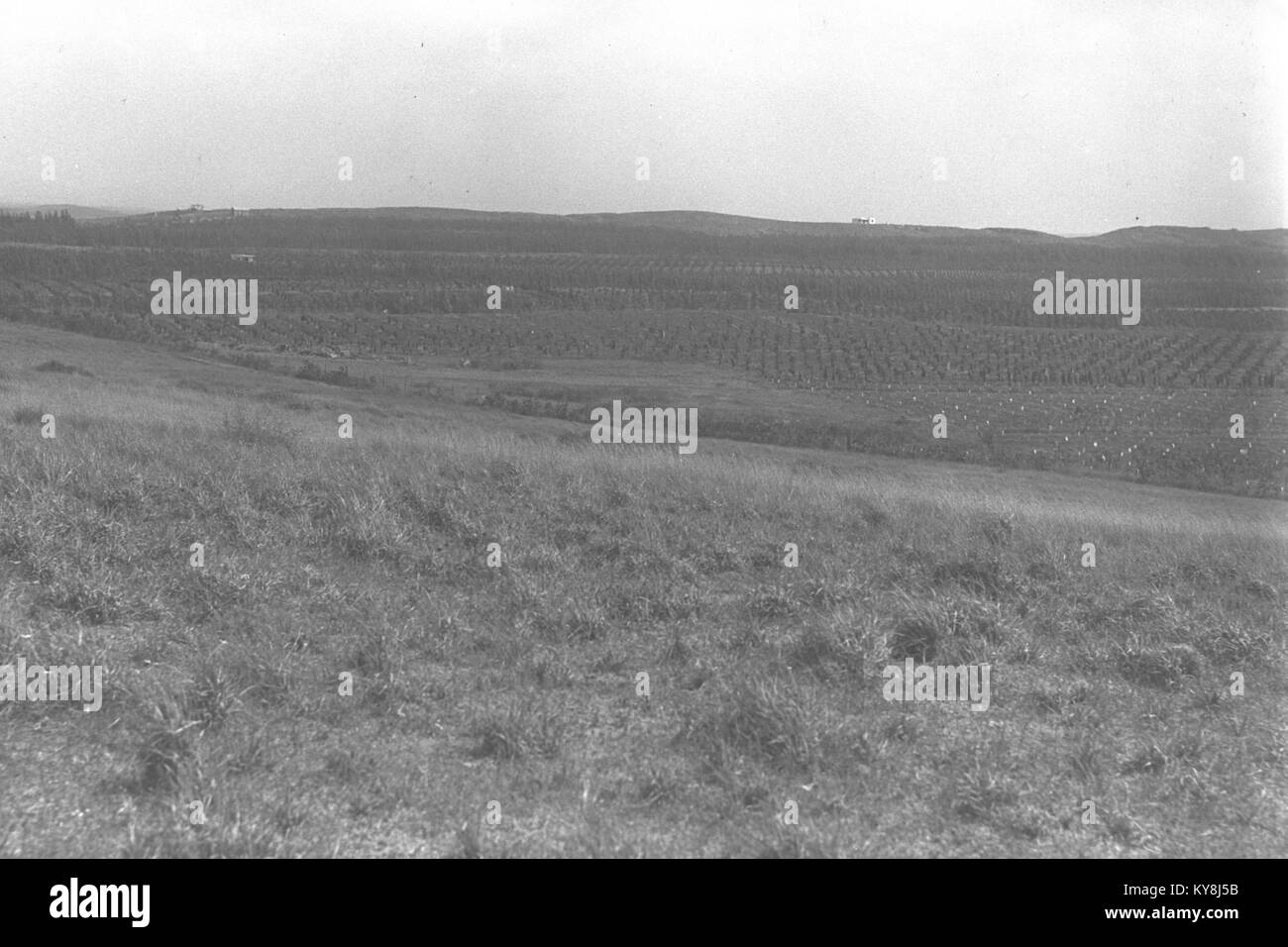 Emek Hefer High Resolution Stock Photography and Images - Alamy