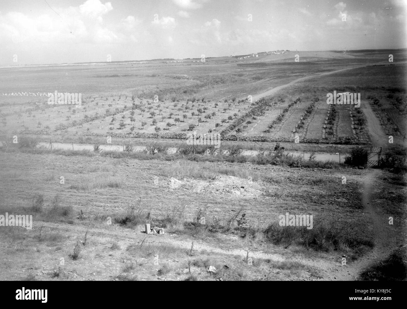 A landscape view of Emek Hefer in the Sharon Plain, Israel, showcasing ...