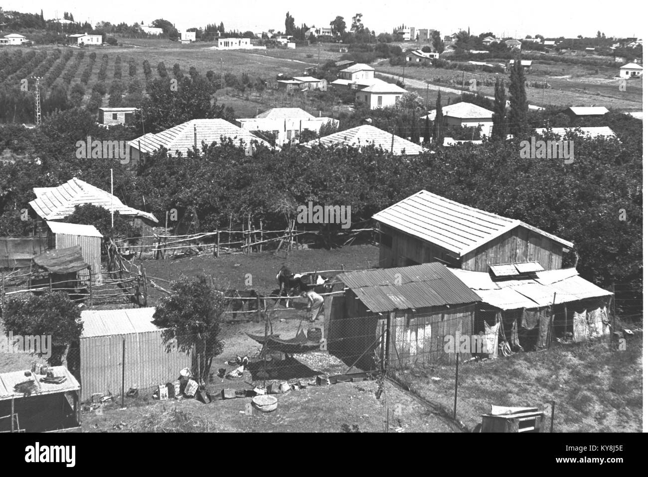 Petah tikva Black and White Stock Photos & Images - Alamy
