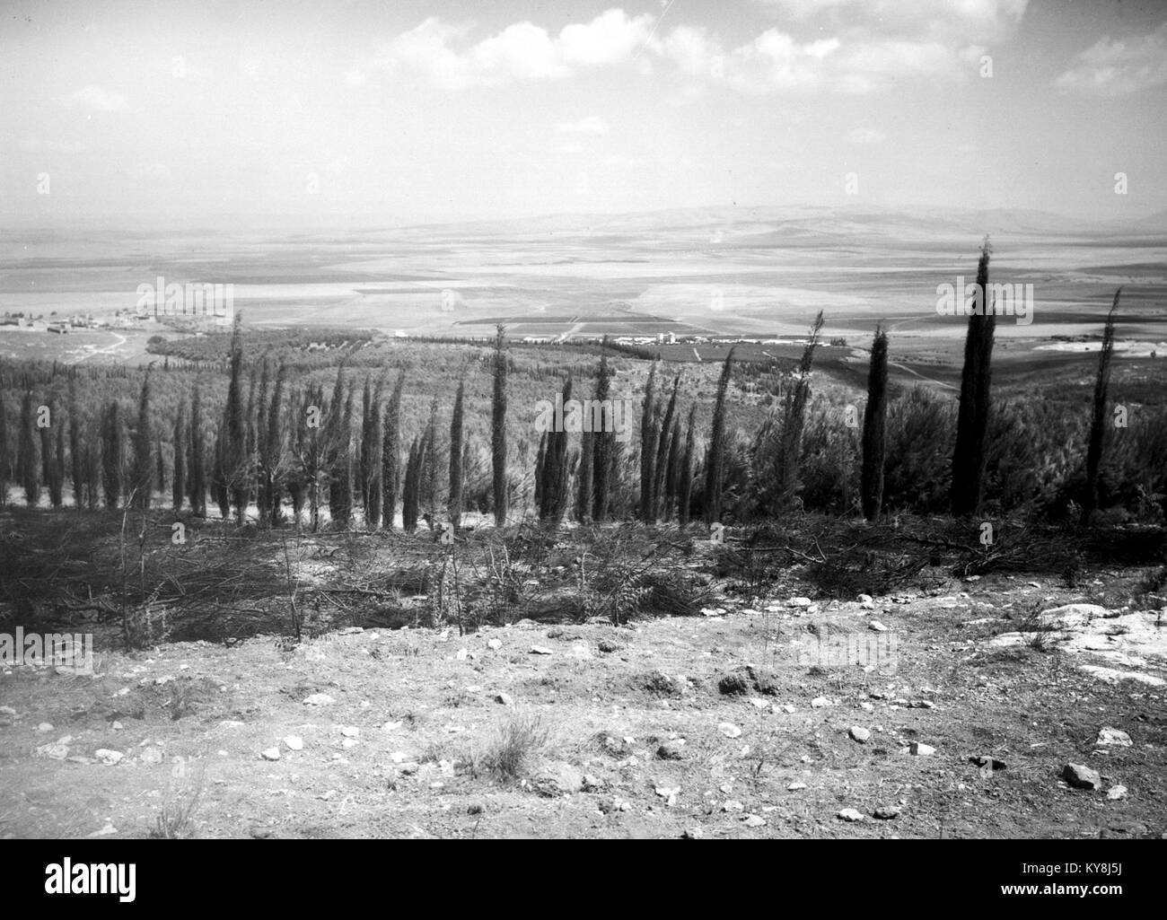 The Jezreel Valley, located in Israel, is a fertile agricultural region ...