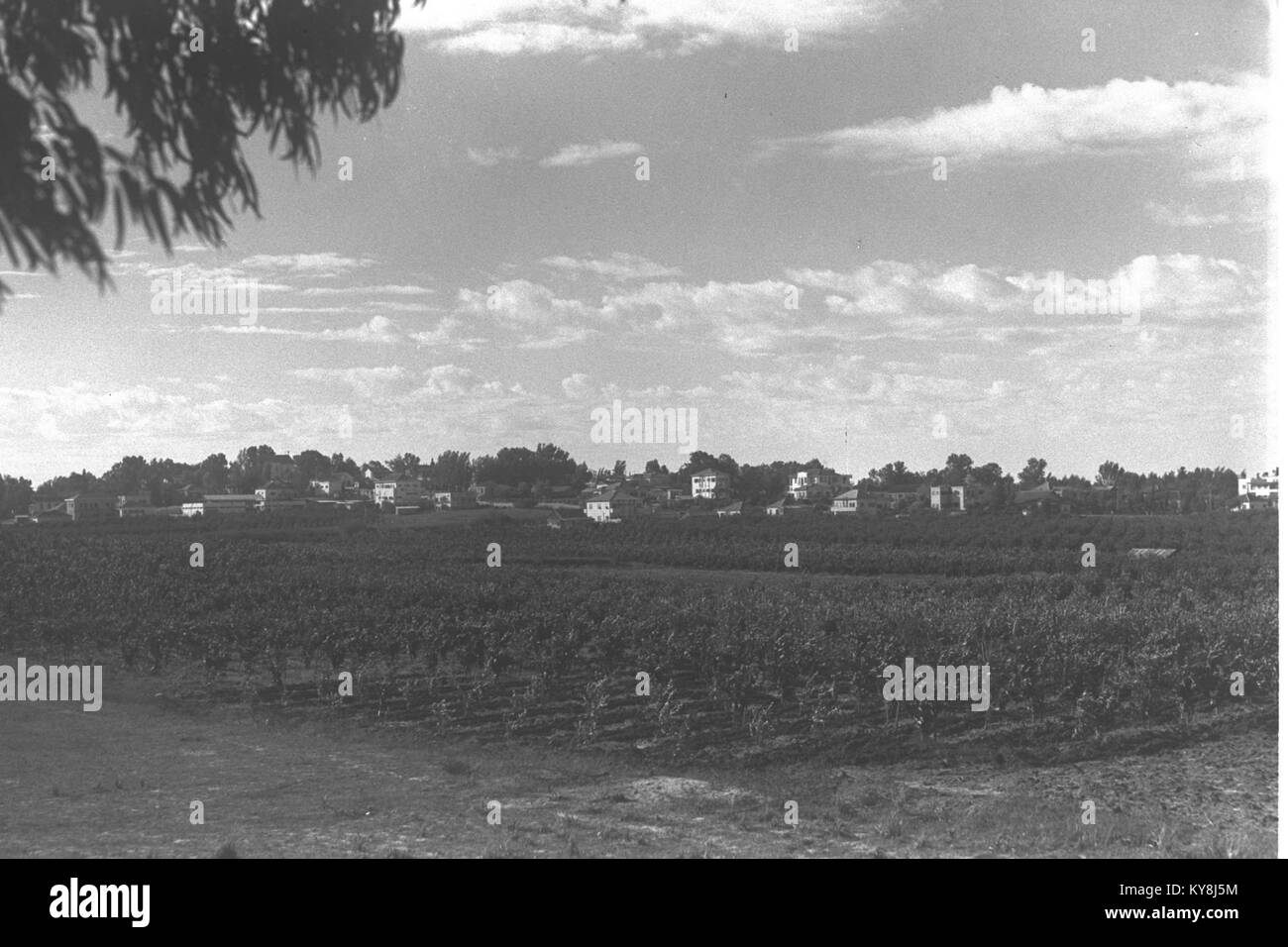 A view of Rishon Lezion, a prominent city in Israel, highlighting its ...