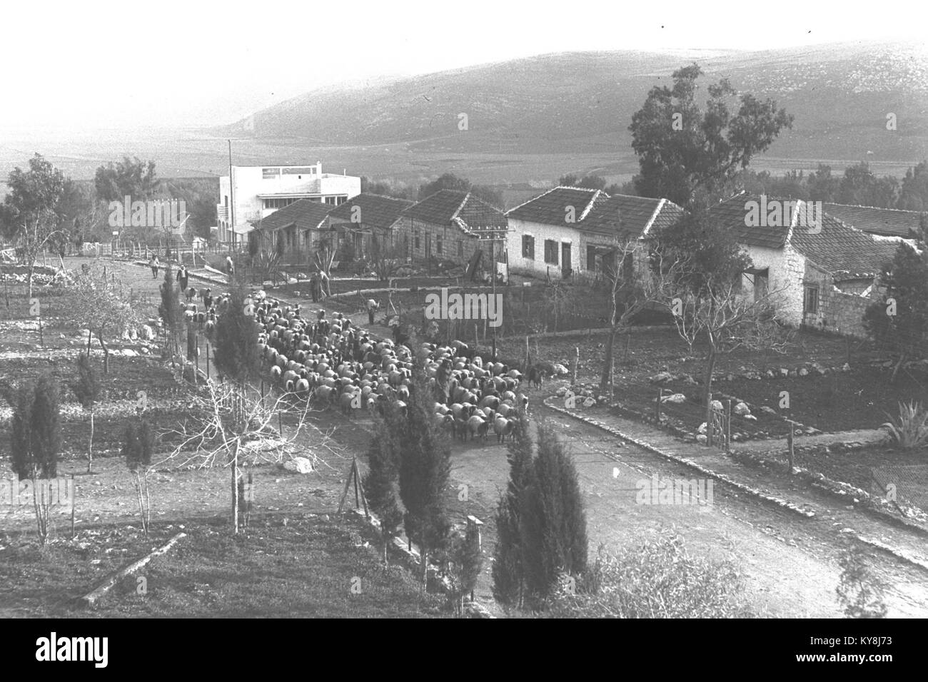 The main street of Metula, Israel, showcases the town's central area ...