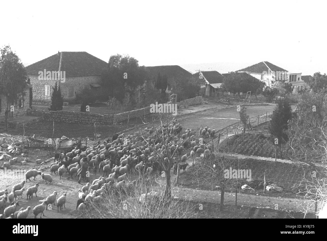 Town of metula hi-res stock photography and images - Alamy