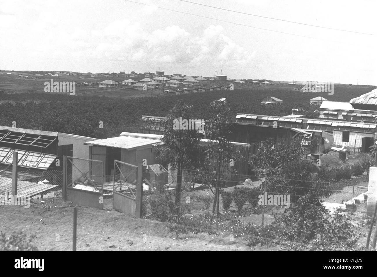 MOSHAV RAMOT HASHAVIM. מושב רמות השבים בשרון.D29-118 Stock Photo - Alamy