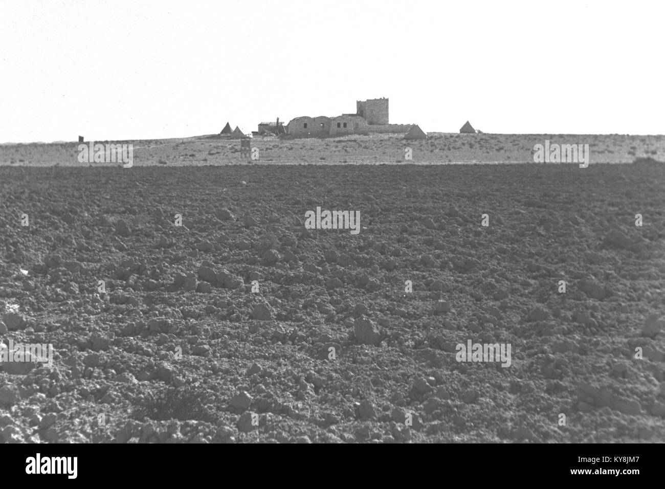 Revivim High Resolution Stock Photography and Images - Alamy