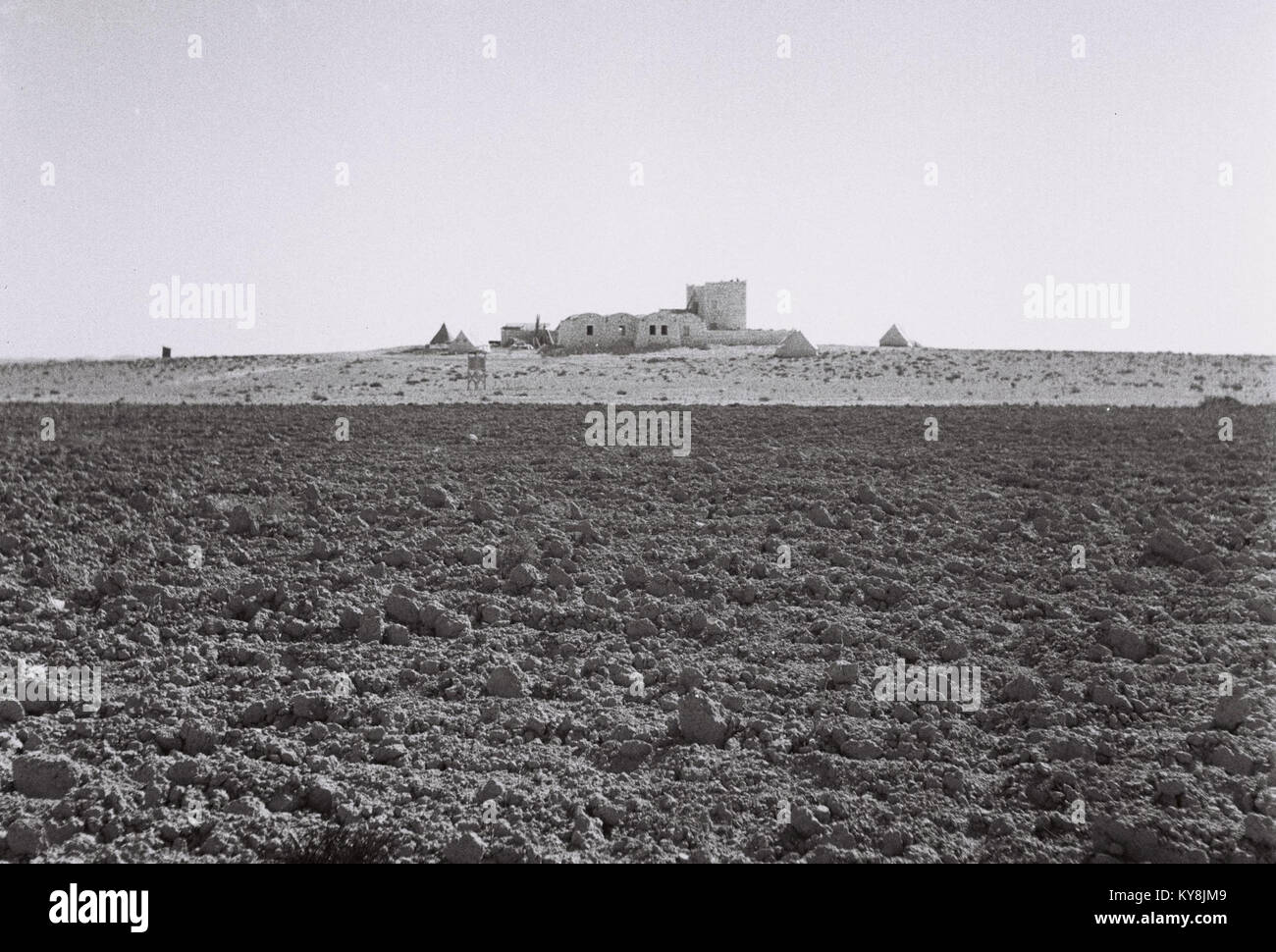 Revivim High Resolution Stock Photography and Images - Alamy