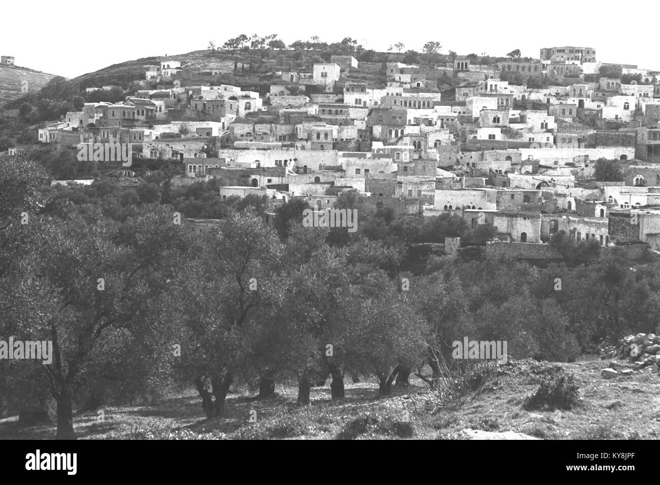 View safed tzfat israel Black and White Stock Photos & Images - Alamy