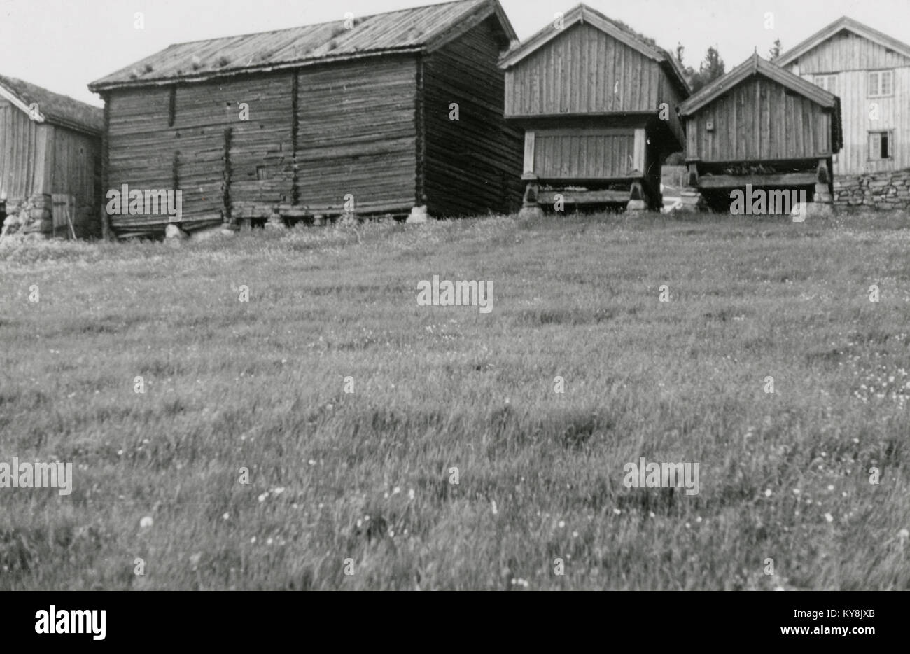 Nystog i Austbø in Telemark, Norway, is a traditional farmstead ...