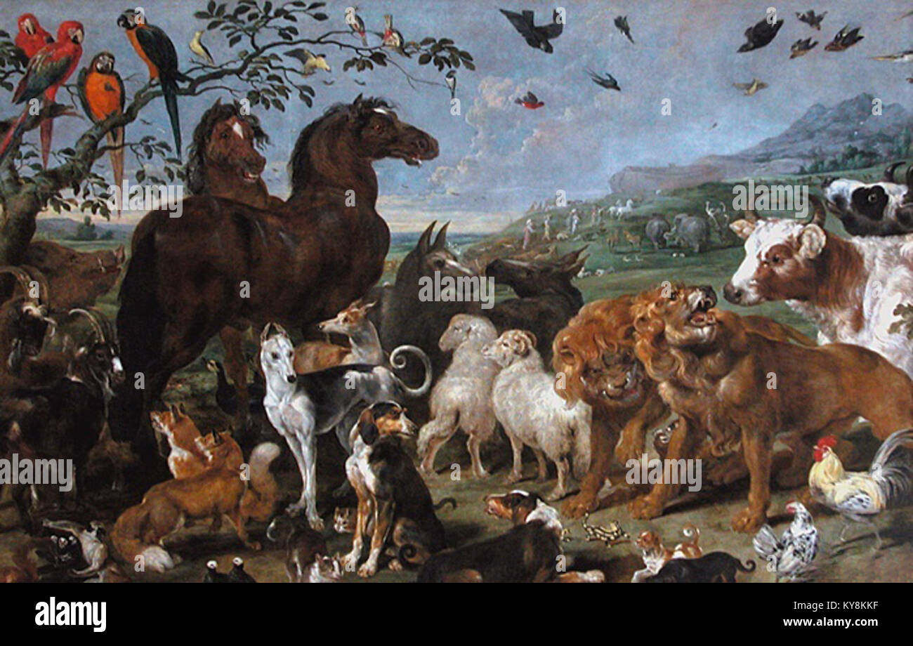 Paul De Vos High Resolution Stock Photography and Images - Alamy