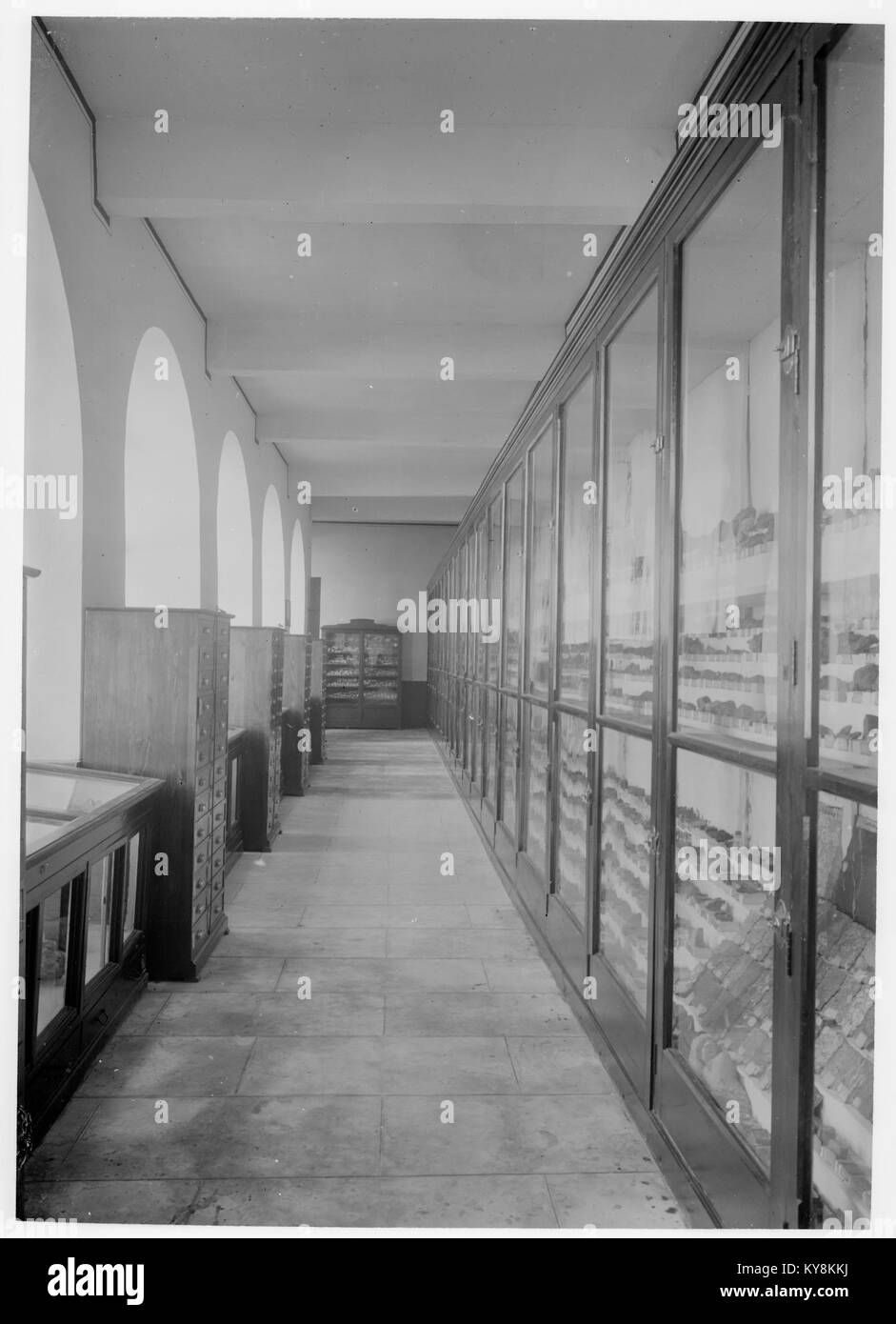 This refers to a section in the Frizac and Lassus Mineralogy Room at ...