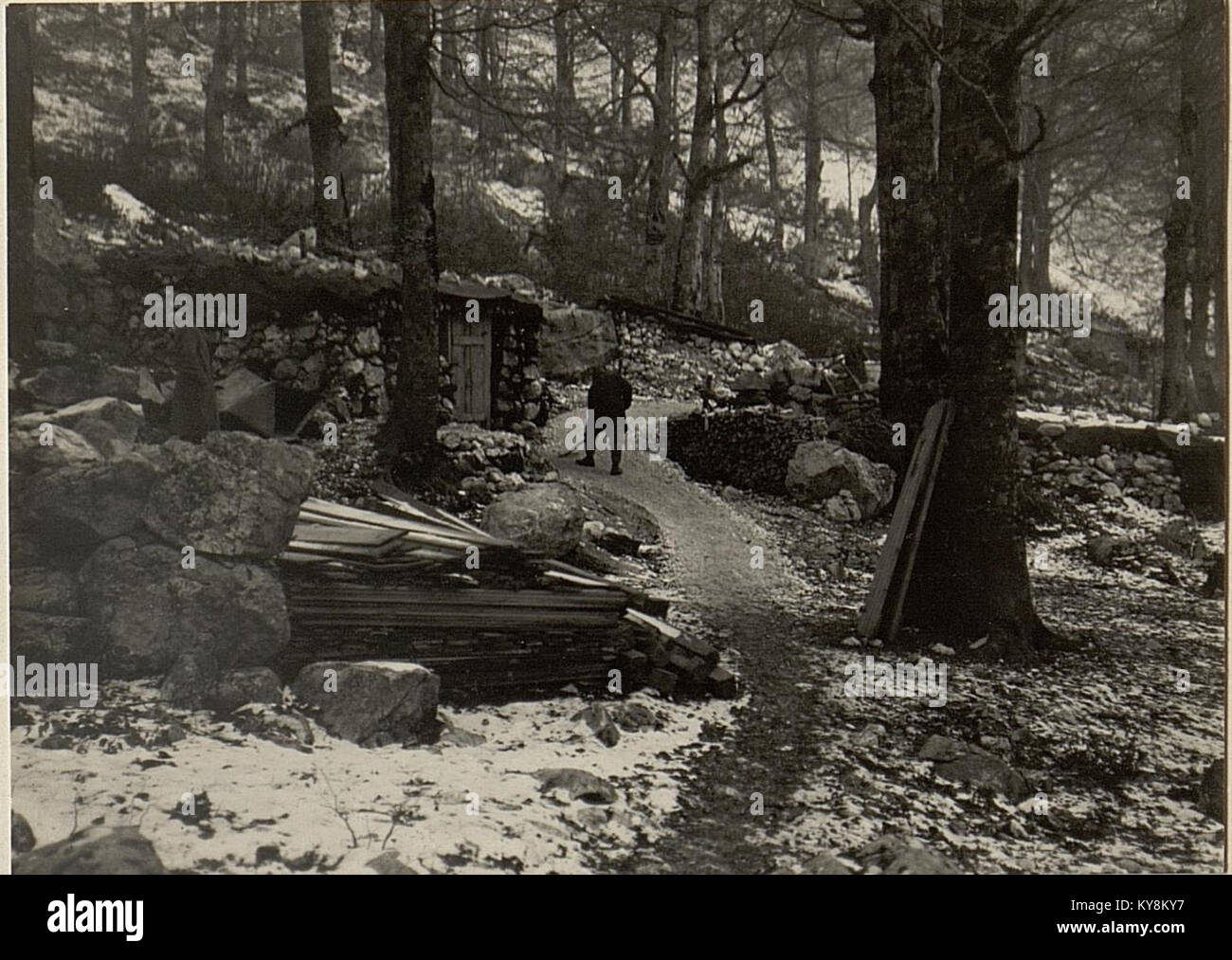 A World War I trench at Moscenza, showing a dugout and defensive ...
