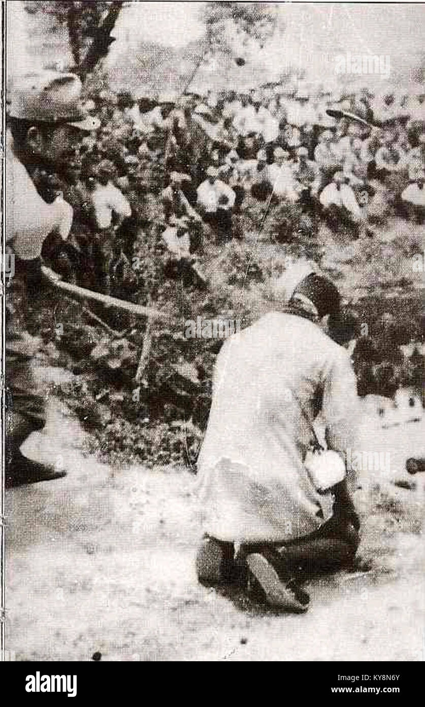 A photograph from the 'Shame' album, part of a visual collection that ...