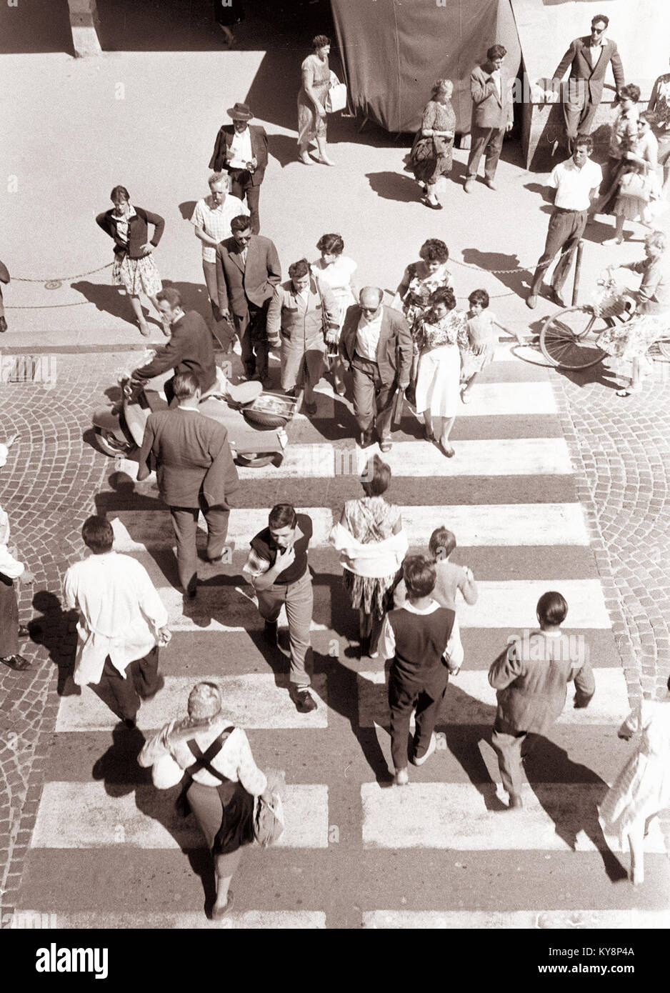 The image depicts a scene of fish crossing at a pedestrian crossing in ...