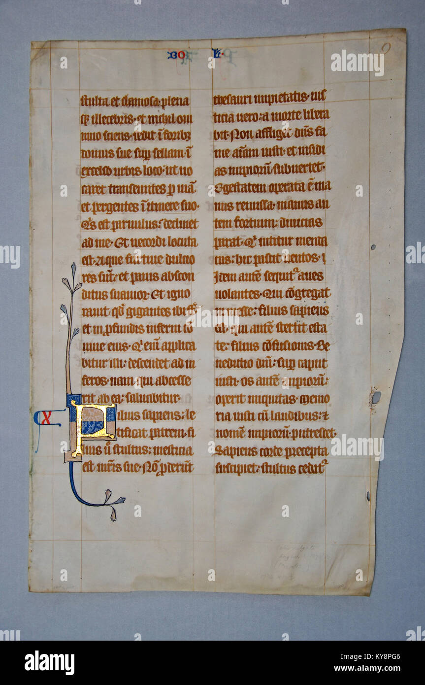 Page from a 14th Century Latin Vulgate Bible, (Book of Jeremiah ...