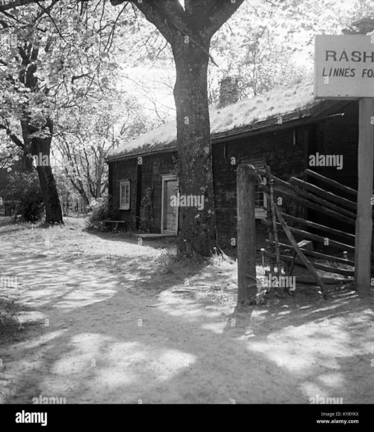 Råshult hi-res stock photography and images - Alamy