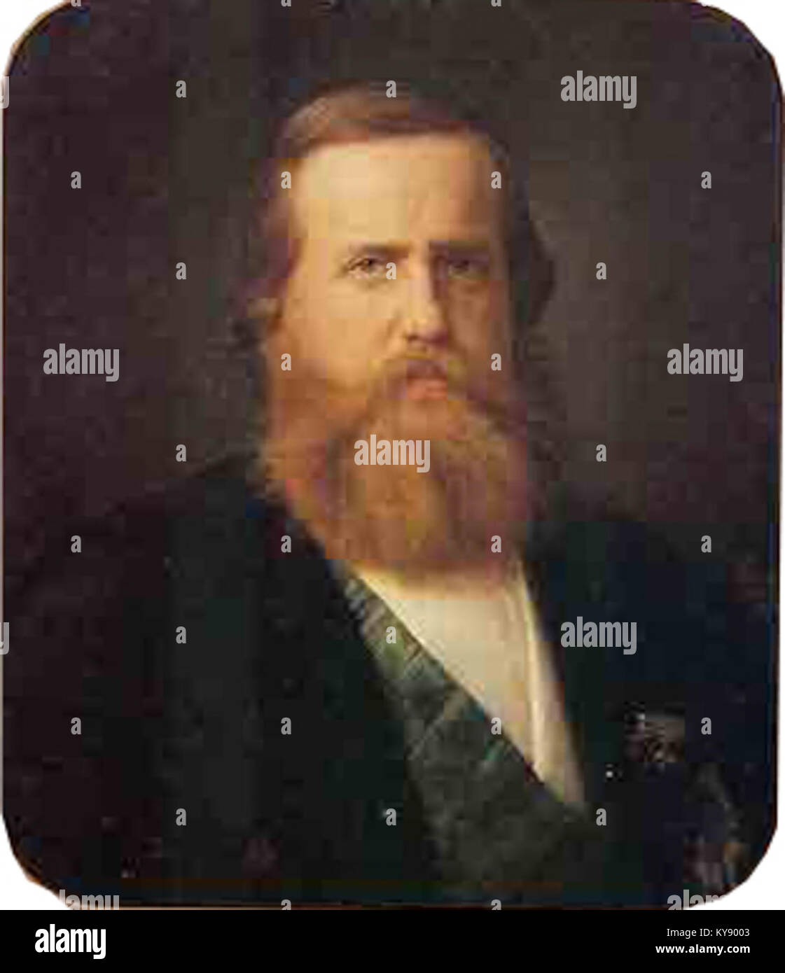 A portrait of Emperor Pedro II of Brazil, painted by Édouard Viñot ...
