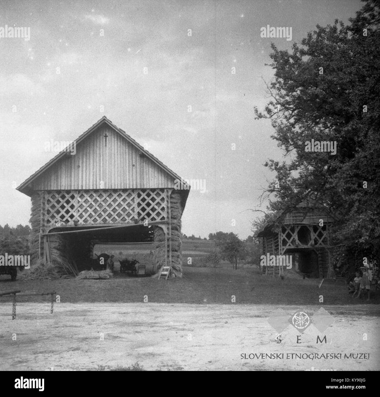This 1949 image shows old and new 'kozuc' (hayracks) in Mali Vrh ...
