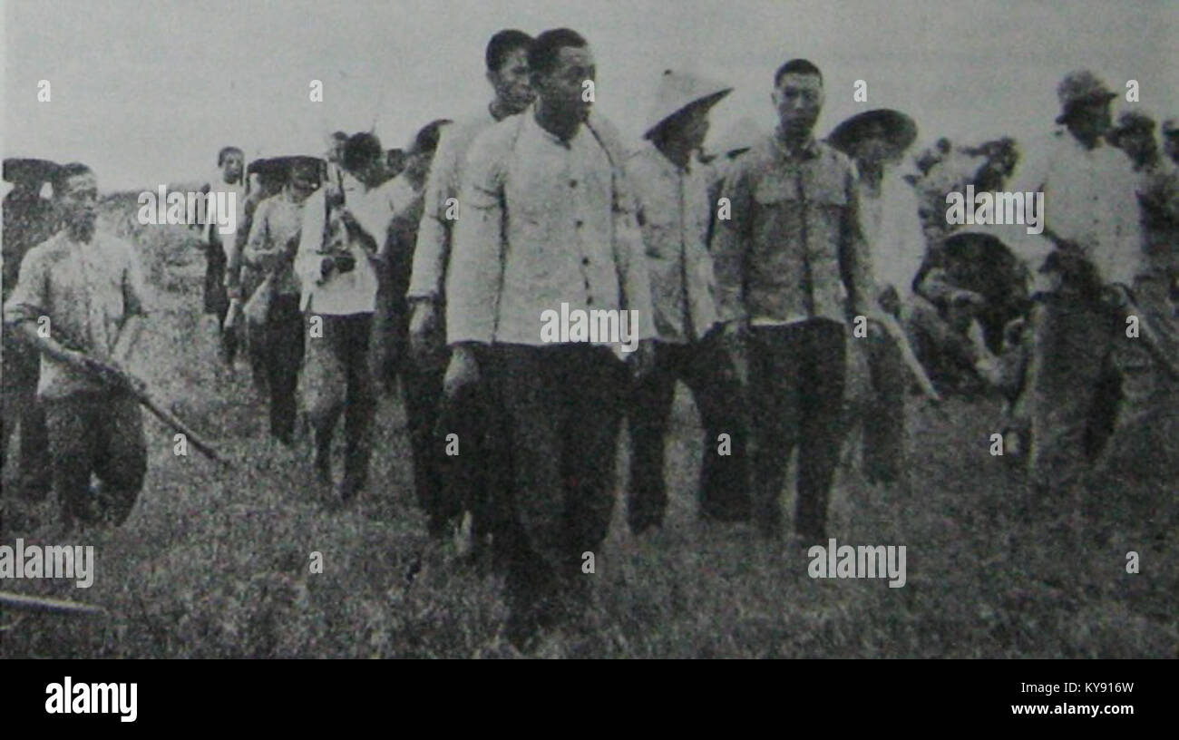 Chinese Pows High Resolution Stock Photography and Images - Alamy