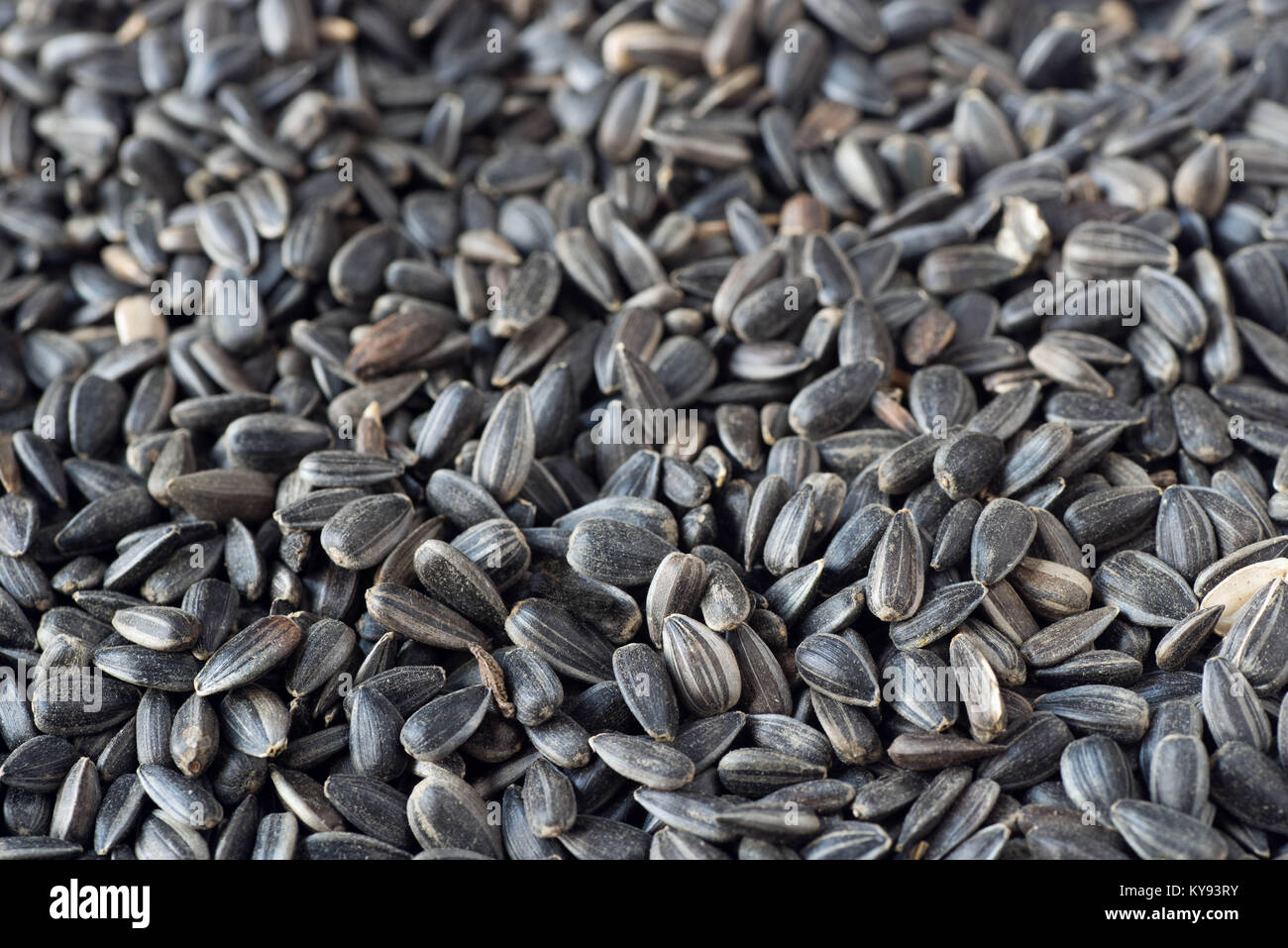 heap of sunflower seeds macro Stock Photo - Alamy