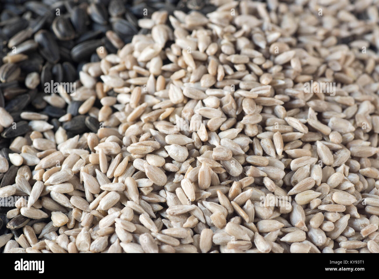 heap of sunflower seeds macro Stock Photo - Alamy
