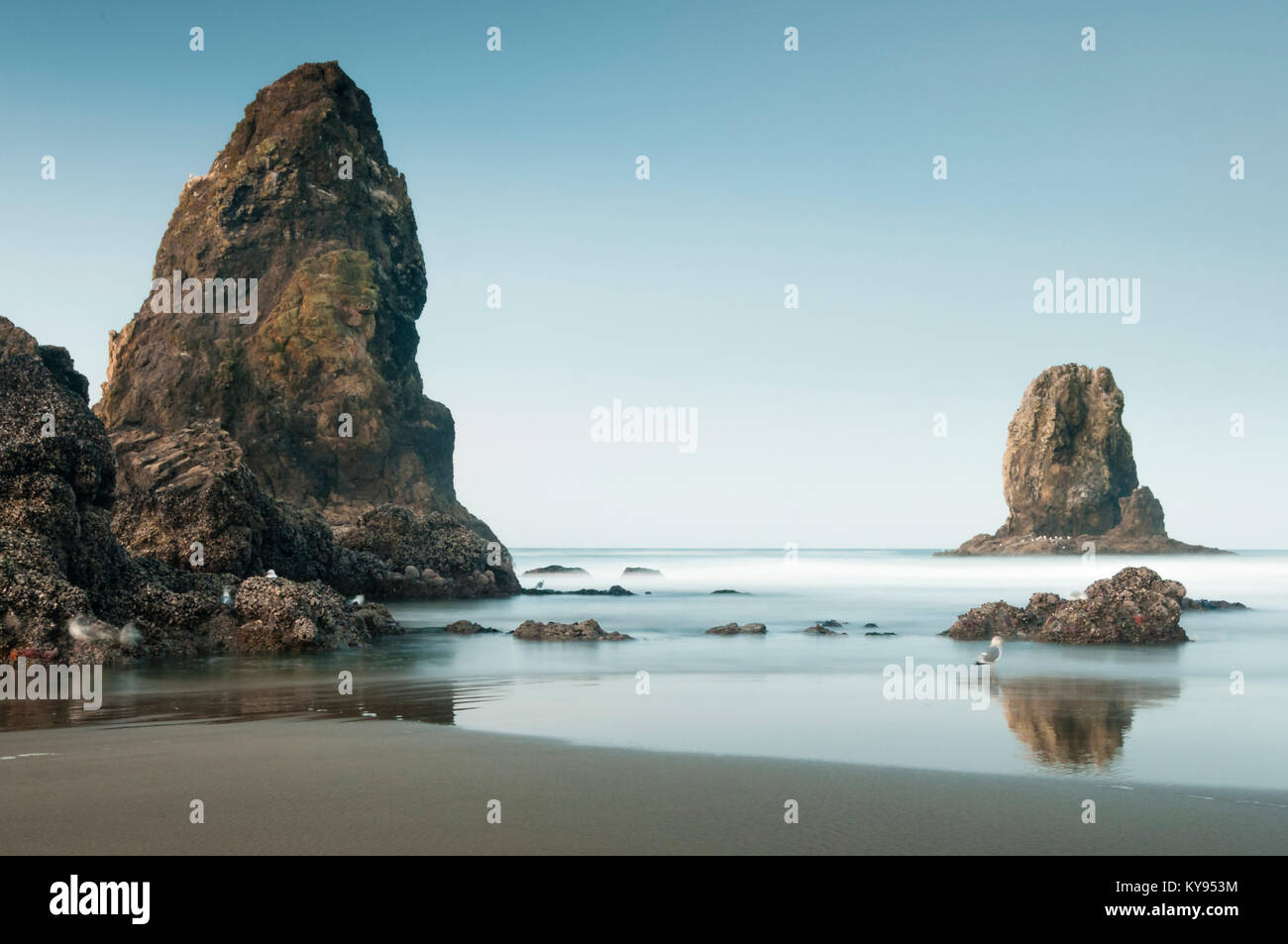 A long exposure capture of the surf line, sea gulls and rock formations ...
