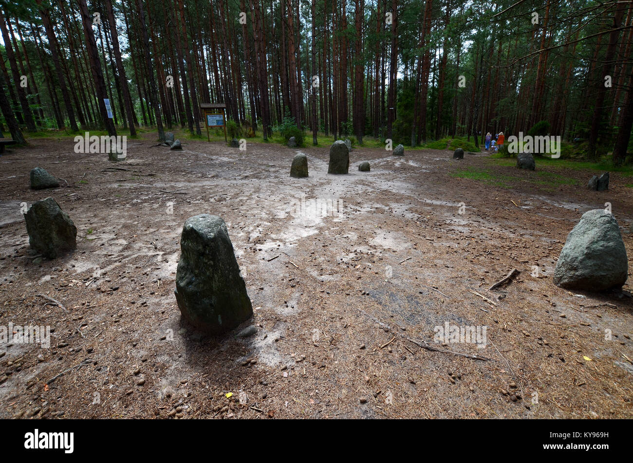 Tumuli in Wesiory (the ancient graveyard of Goths and Gepids Stock ...