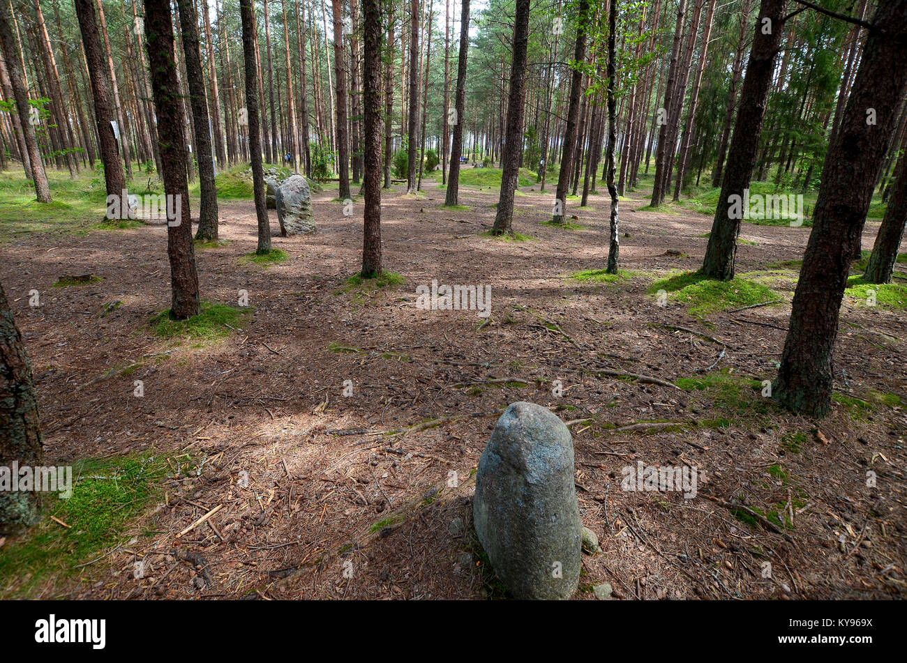 Gepids hi-res stock photography and images - Alamy